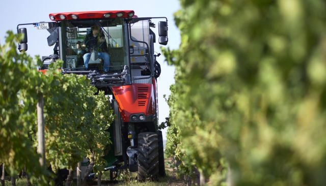 Grape Harvester | ERO GmbH