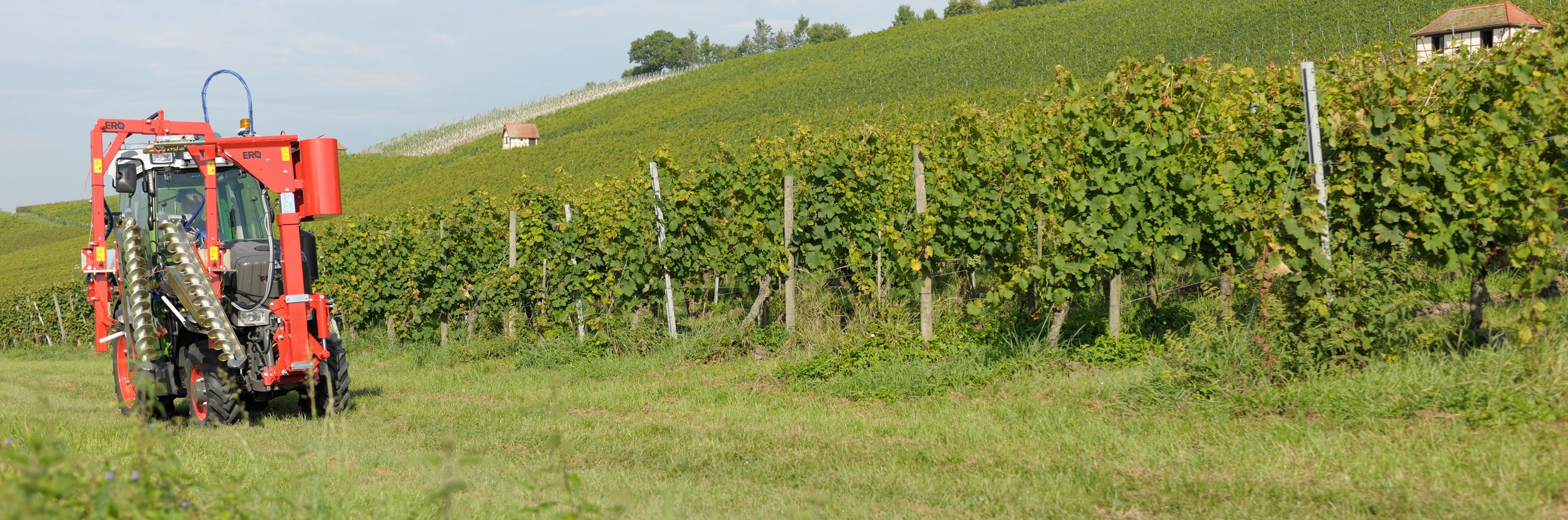 Shoot Binder | ERO GmbH