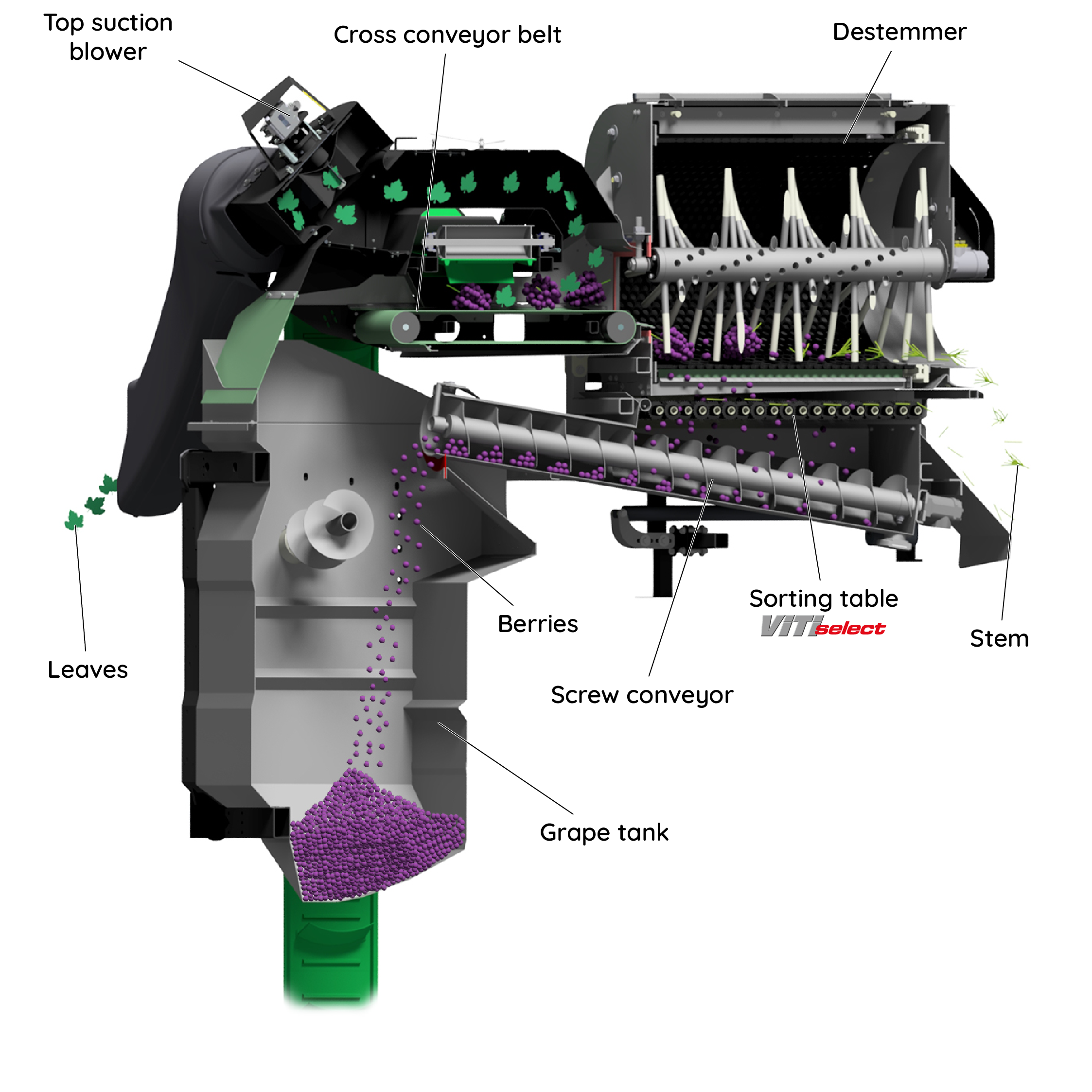 Destemmer | Grapeliner Series 7000 | ERO GmbH